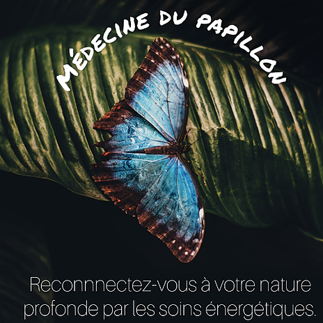 Médecine du papillon | Instagram, YouTube | Linktree