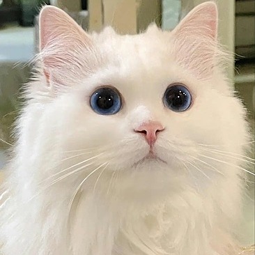 @migt_caff | Linktree