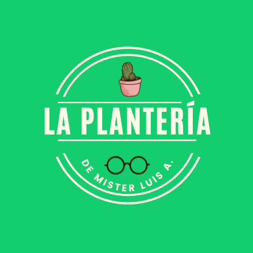 La Plantería | Instagram, Facebook | Linktree