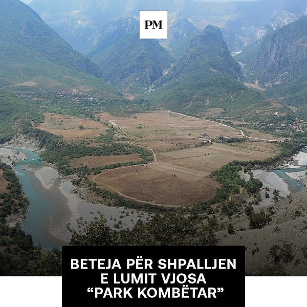 PRIZMA MEDIUM | Linktree