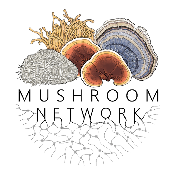 Mushroom Network Links | Linktree