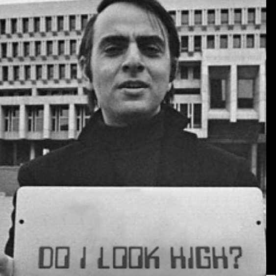 Michael Simonetti | Instagram | Linktree