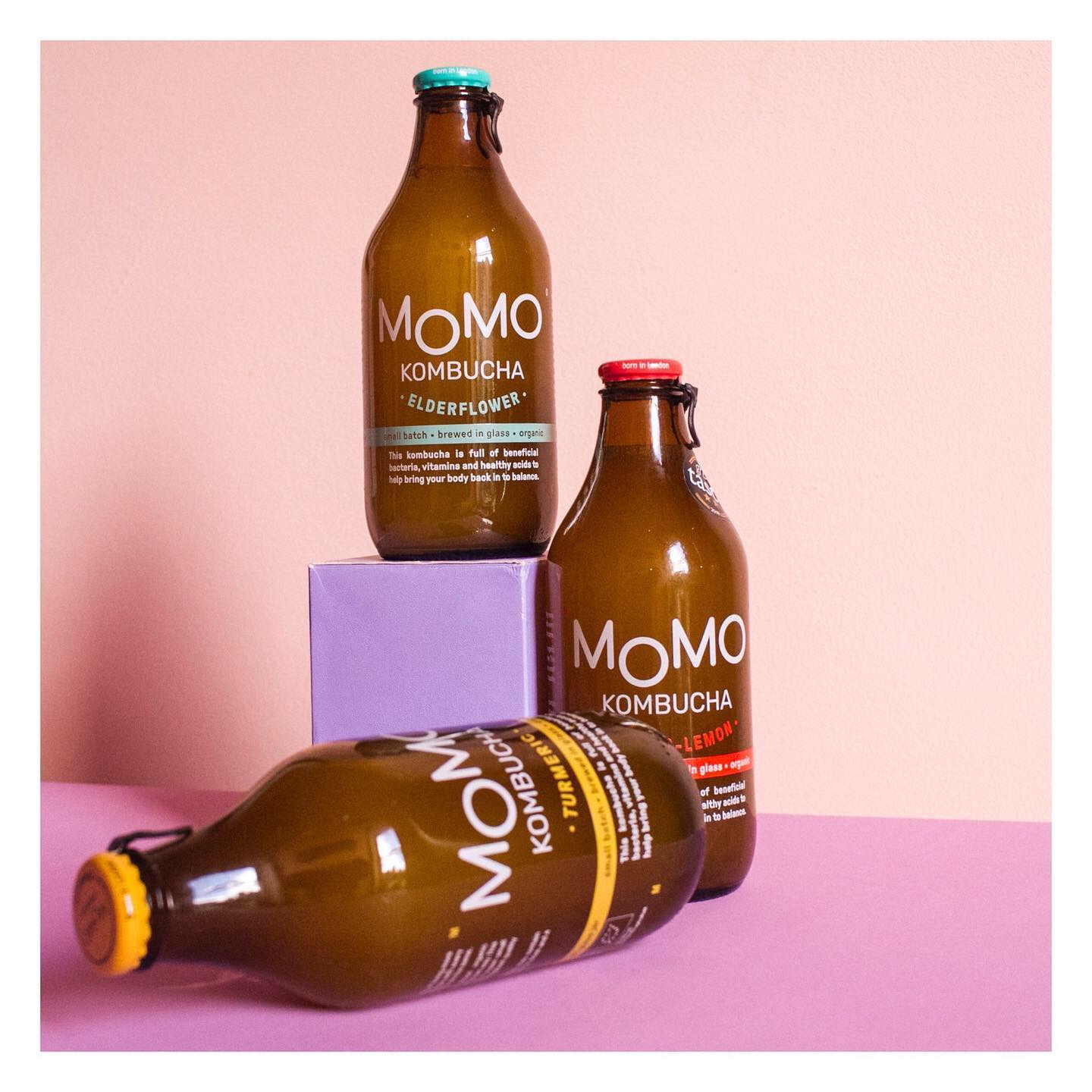 MOMO Kombucha | Linktree