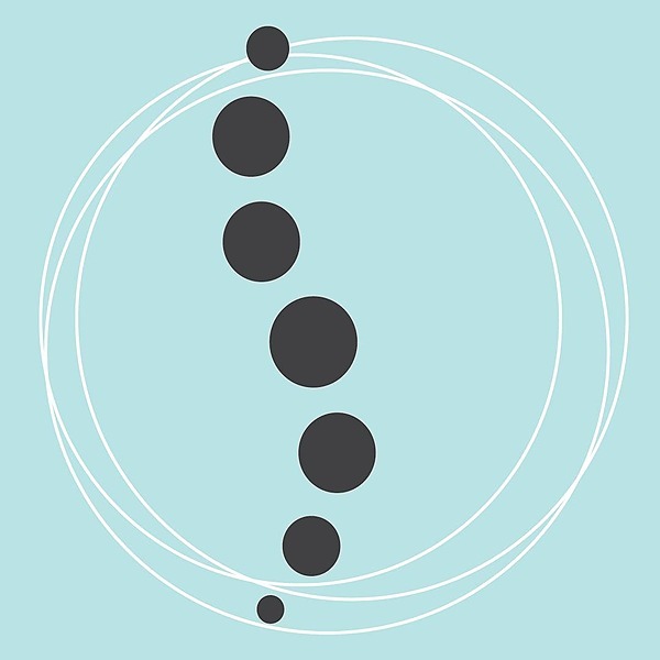 Spinal Flow Technique | Instagram, Facebook | Linktree