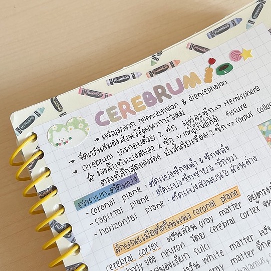 -nnlazy.studygram- | Linktree