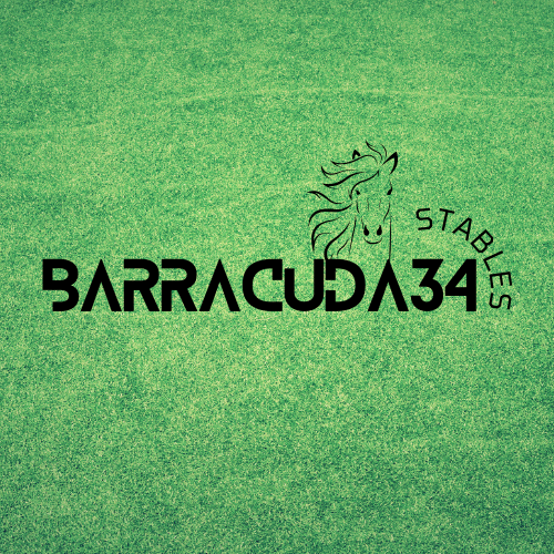 Barracuda34 Stables | Linktree