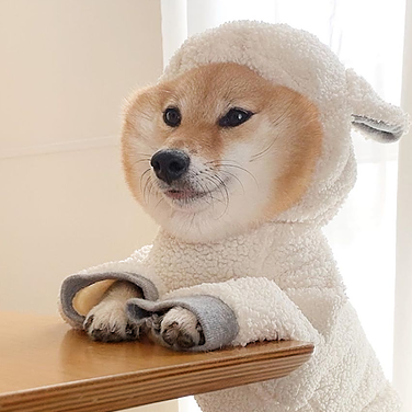 jujunaught | Twitter | Linktree