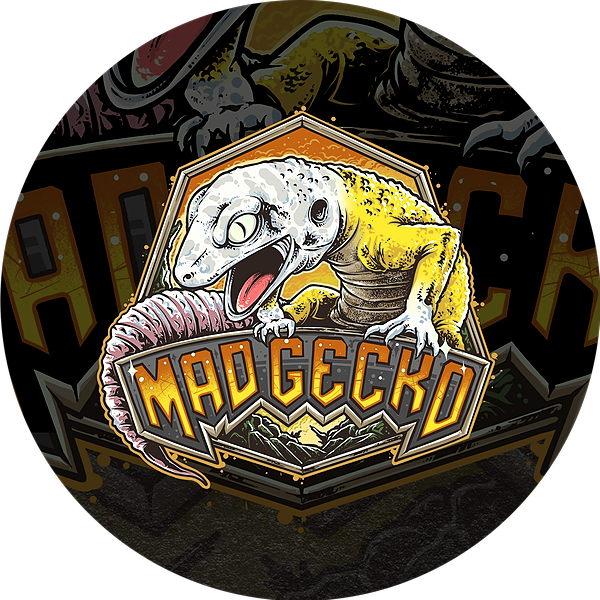 Mad Gecko | Linktree