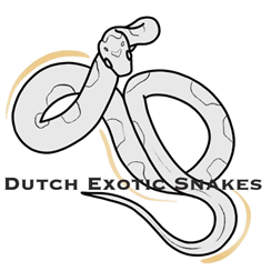 dutch_exotic_snakes | Facebook | Linktree