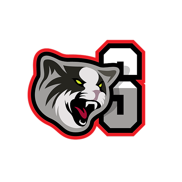 Shadow Scholar Guild | Linktree