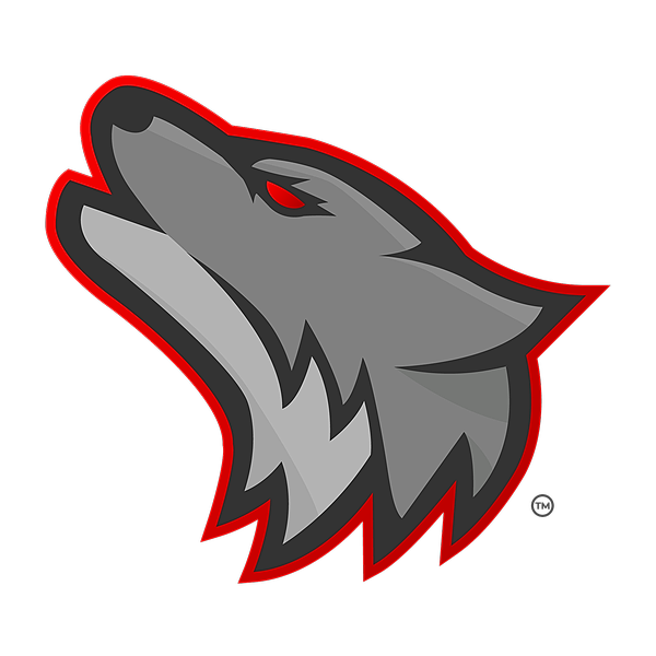 NC State Icepack | Twitter, Instagram, Facebook, TikTok | Linktree