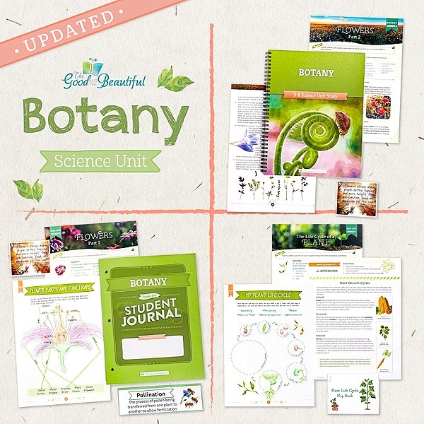 The Good and the Beautiful | Instagram, Facebook | Linktree