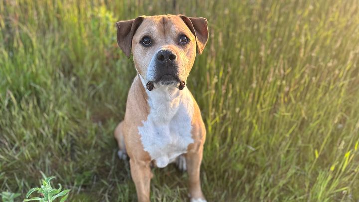 Littlemissloon - Find @Littlemissloon Onlyfans - Linktree