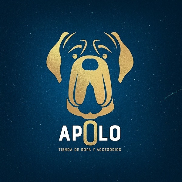 Apolo Outfit Store | Linktree