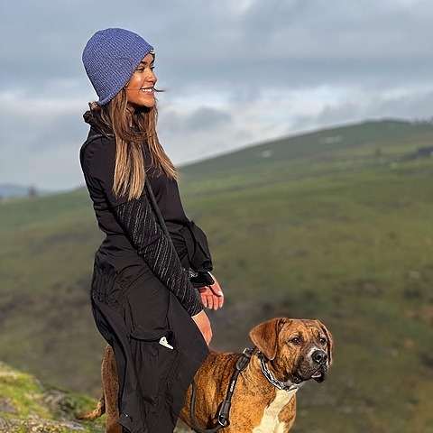 Dog training hub | Linktree