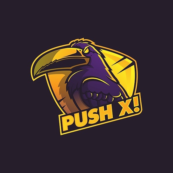 pushx | Twitter, Instagram, Twitch | Linktree
