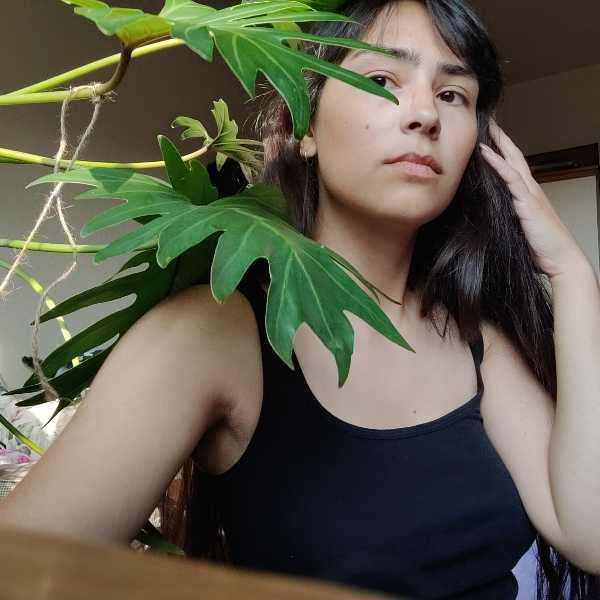 Kitty Valance - Find Kitty Valance Onlyfans - Linktree