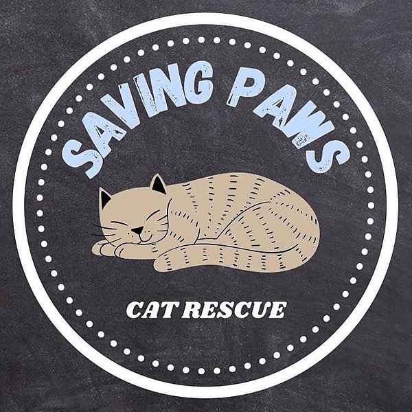 Saving paws cat rescue | TikTok | Linktree