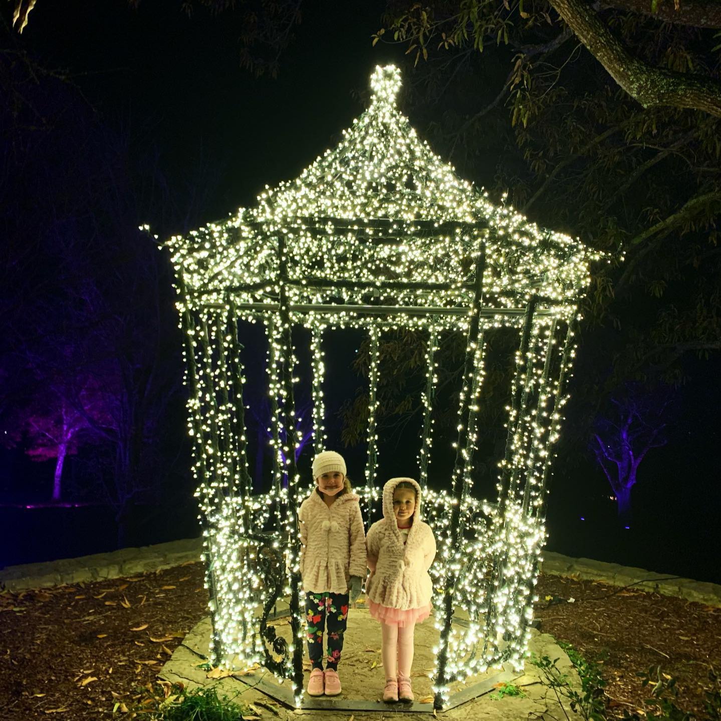 @happyly_nash | Linktree