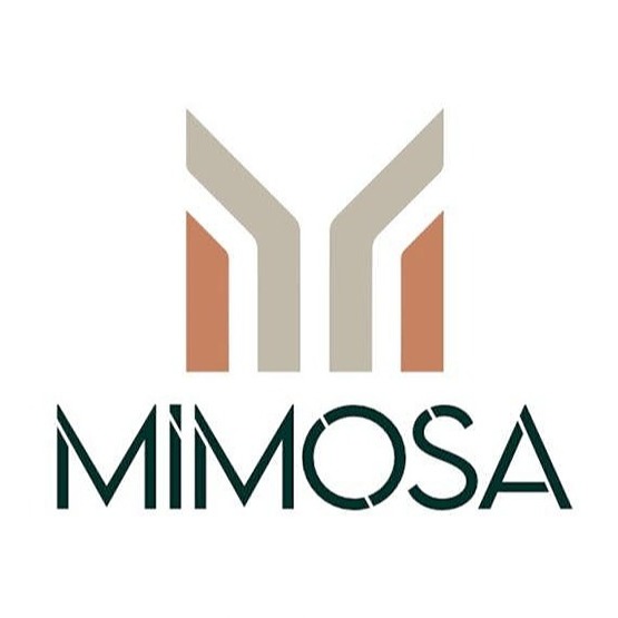 Mimosa - ميموزا | Instagram | Linktree