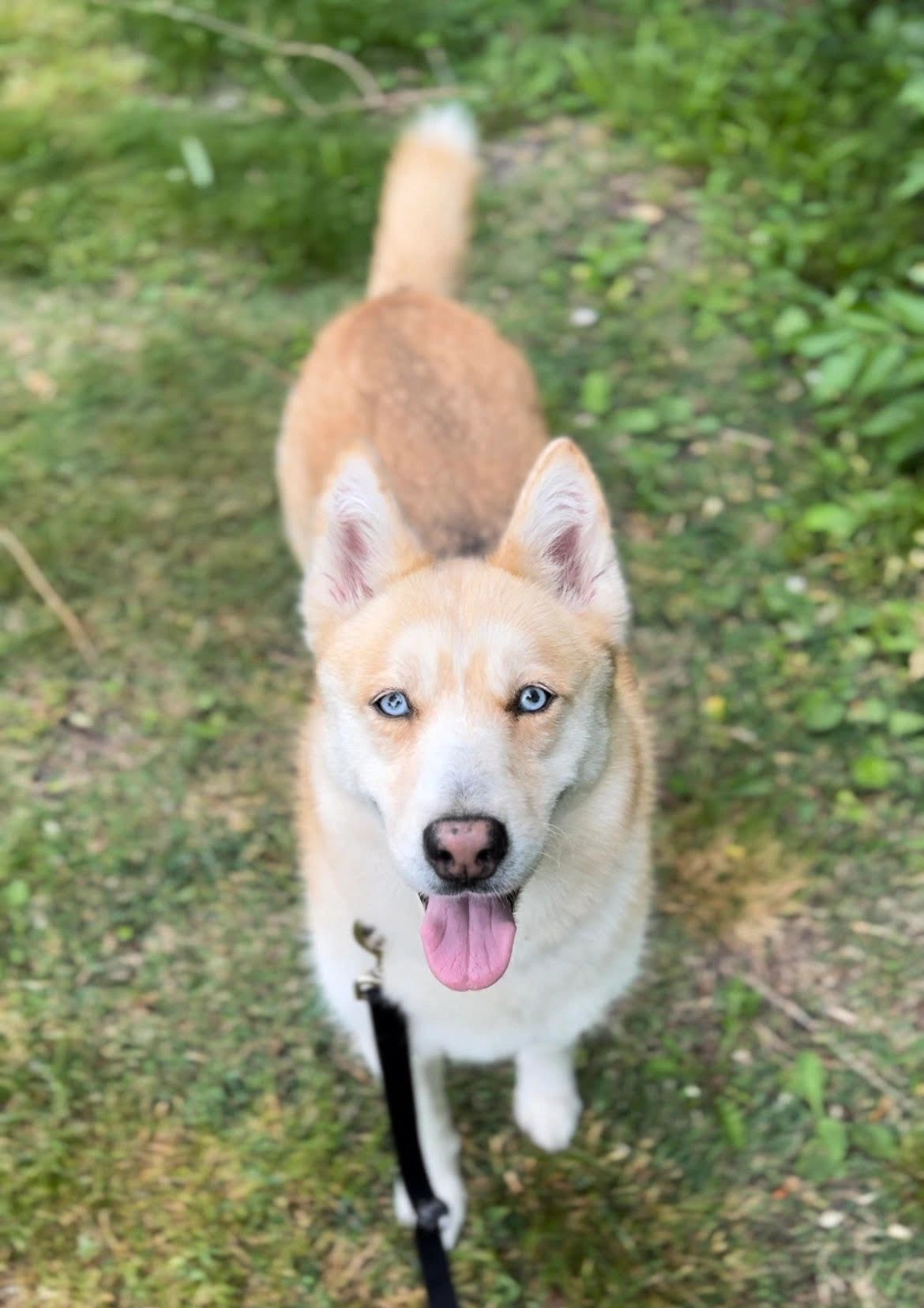 @rainbow5308 | Linktree