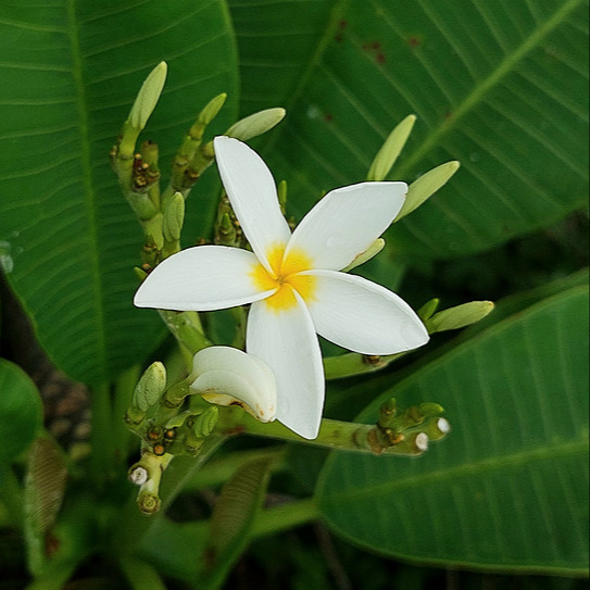 Bird Hamlet - Listen on Spotify - Linktree