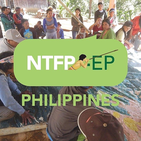NTFP-EP Philippines | Twitter, Instagram, Facebook | Linktree
