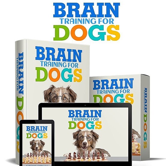 @dogtrainer_ | Linktree