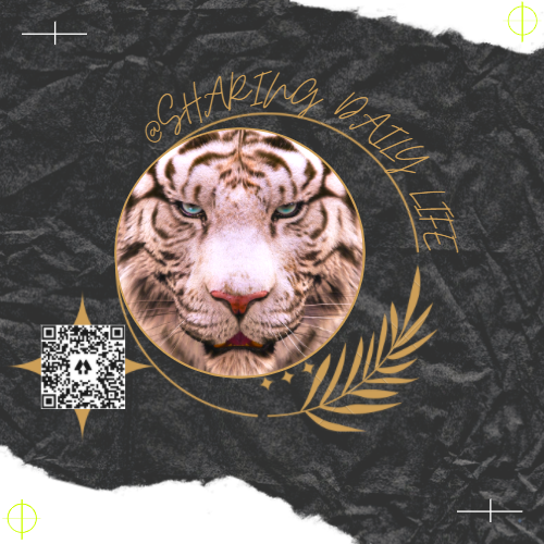 Sharing Daily Life | Instagram, Facebook, TikTok | Linktree