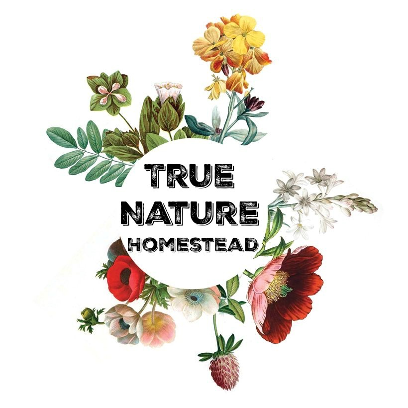 TRUE NATURE HOMESTEAD | Linktree