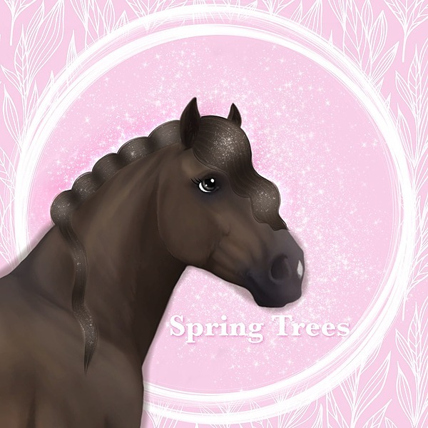 Spring Trees | Linktree