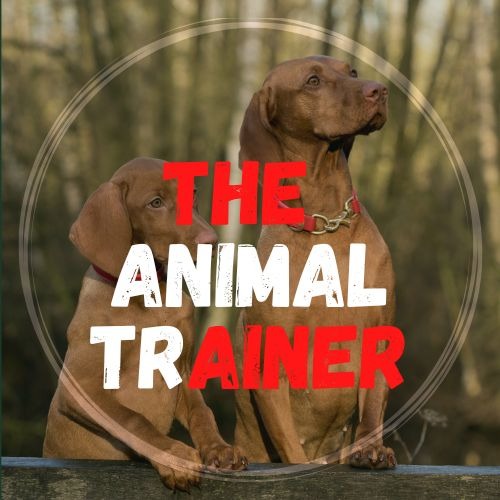 The Animal Trainer | Linktree
