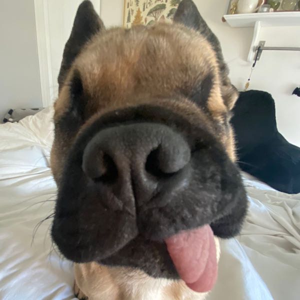 Jason and Beans Amazon FBA | Instagram, TikTok | Linktree