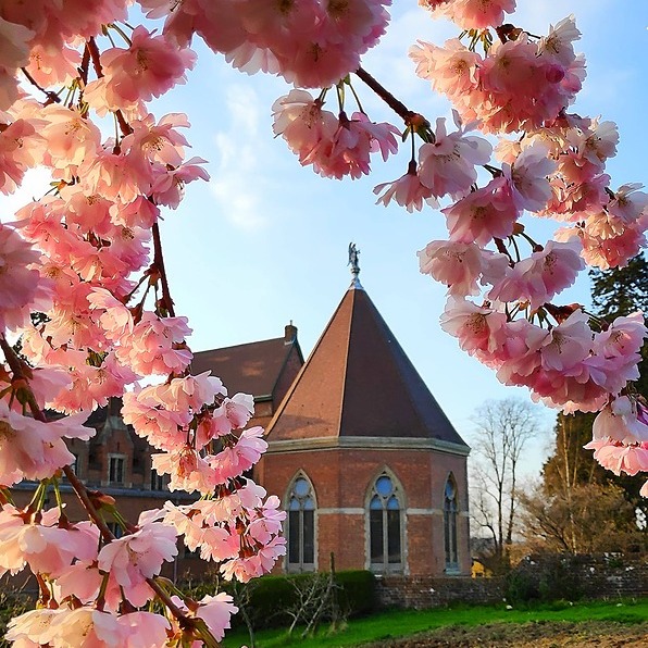 The Mount Camphill Community | Linktree