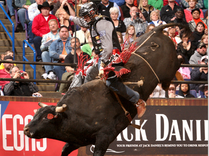 Texas Rattlers | Twitter, Instagram, Facebook, TikTok | Linktree