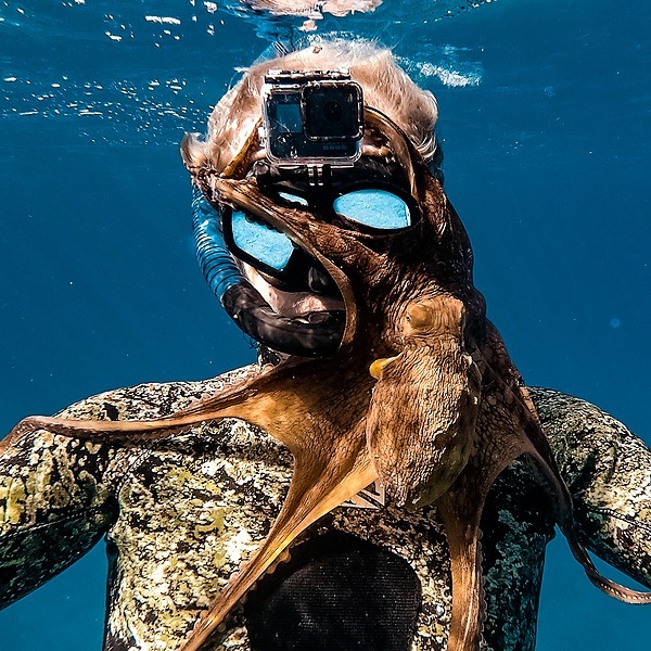 @shangerdanger | Linktree