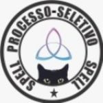 Processo seletivo Spell | Instagram | Linktree