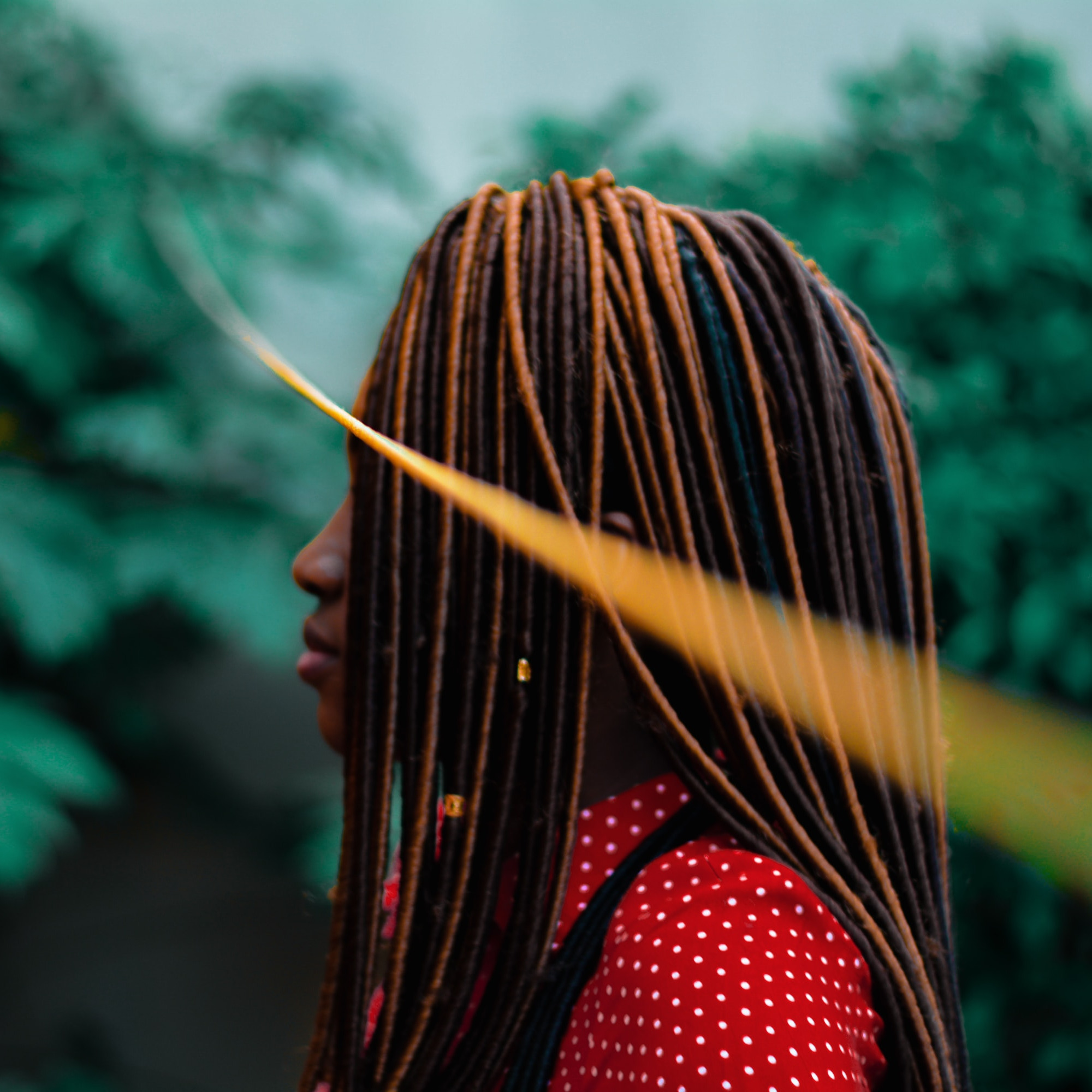 @CollectifPerspective | Linktree