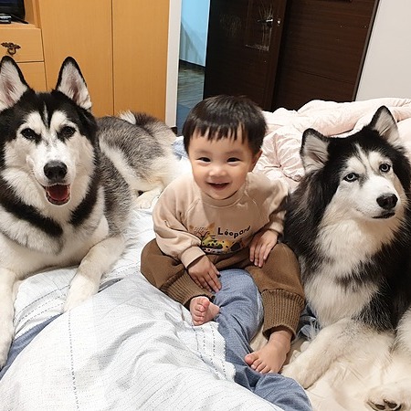 @husky.drool | Linktree