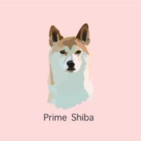 Prime Shiba | Instagram, TikTok | Linktree