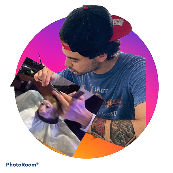 André Escobedo Designs | Twitter, Instagram, Facebook | Linktree