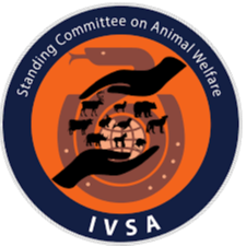 IVSA SCAW | Instagram, Facebook | Linktree