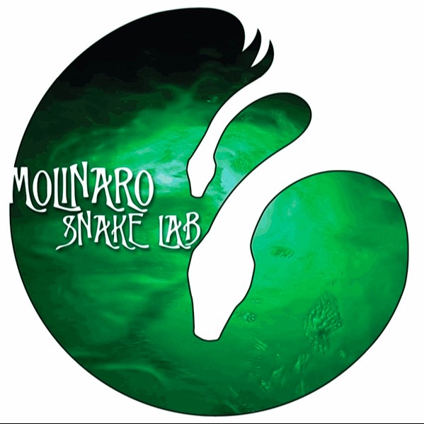Molinaro_Snake_Lab | Instagram, Facebook, TikTok | Linktree
