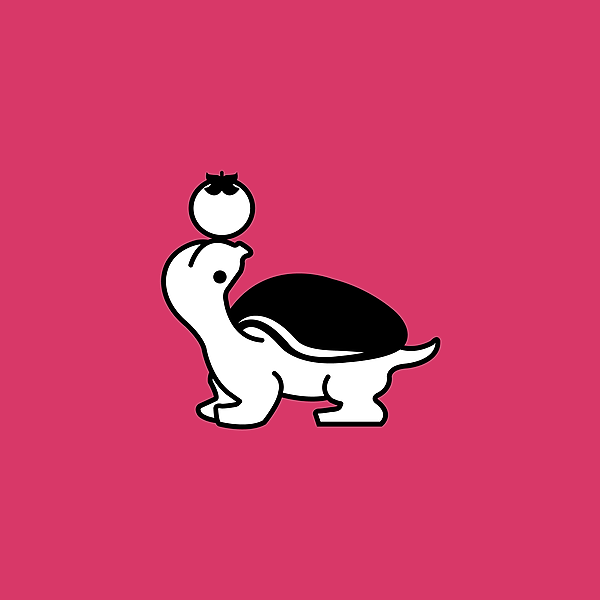 vurtle | Instagram | Linktree