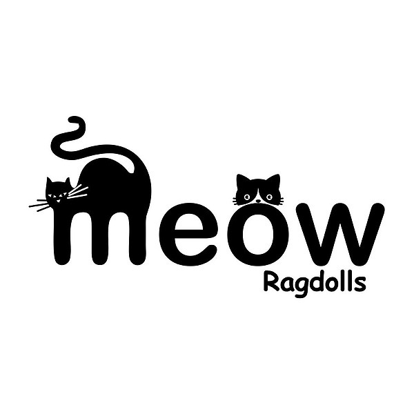 Meow_Ragdolls | Instagram, Facebook, TikTok | Linktree