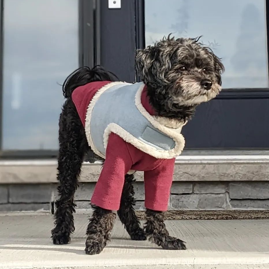 @koony_mylove | Linktree