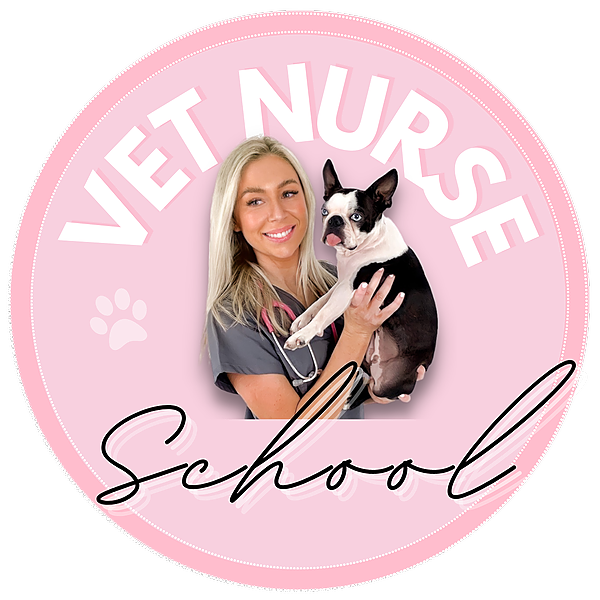 Tess Nolan | Instagram, Facebook | Linktree