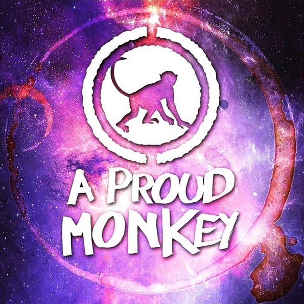 Proud Monkey DMB Tribute | Instagram, Facebook | Linktree