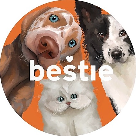 bestie_split | Instagram, Facebook, TikTok | Linktree