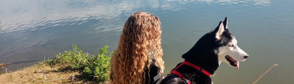 MisMagpie | Twitter, Instagram, TikTok, Twitch | Linktree